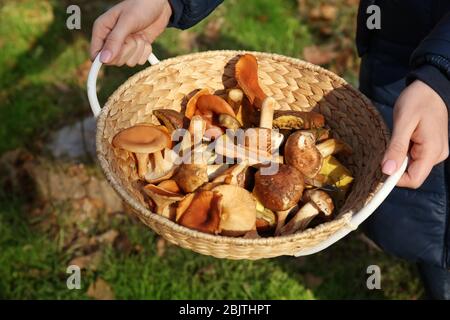 Woman with wicker basket full of porcini walking in autumn forest ...