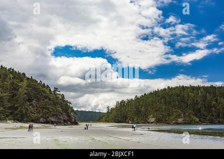 Bowman Bay beach, Deception Pass State Park, Washington Stock Photo - Alamy