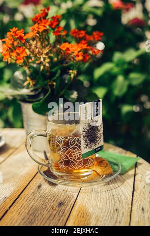 kalanchoe flower on wooden background Stock Photo - Alamy