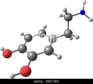 Three-dimensional molecular model of Dopamine - 3d render - Dopamin ...