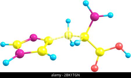 Histidine (His) is an amino acid with an imidazole functional group. It ...