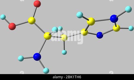 Histidine (His) is an amino acid with an imidazole functional group. It ...