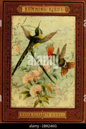 The book cover of 'Hummingbirds' by Mary and Elizabeth Kirby showcases ...