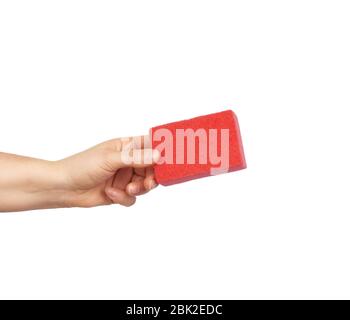 hand holds red sponge for washing dishes, part of body is isolated on ...
