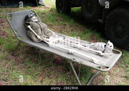 Life size human skeleton displayed and depicted as a soldier wearing ...