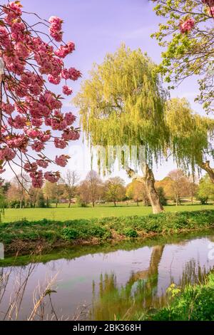 River Idle Retford park England Springtime Stock Photo - Alamy