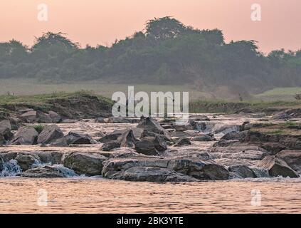 Chambal Forest National Chambal Sanctuary Chambal ravines India Stock ...