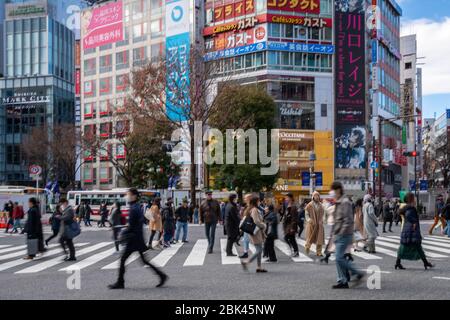 Shibuya Crossing is famous place for scramble crossing in Tokyo city ...