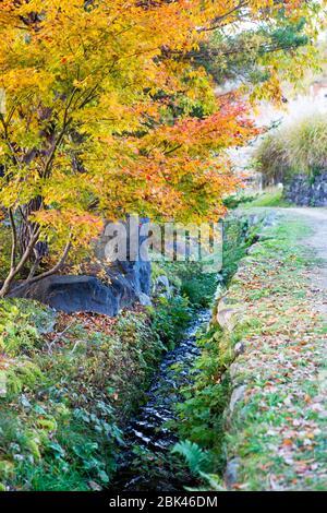 Beautiful fall scene in Japan Stock Photo - Alamy