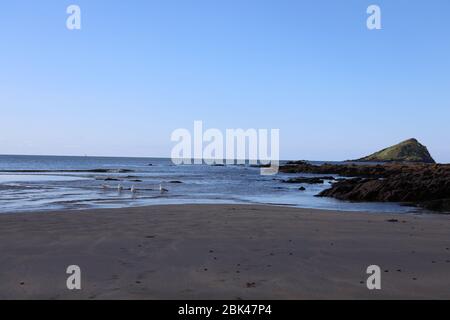 The Great Mewstone Rock Island, Wembury, Devon, UK Stock Photo - Alamy