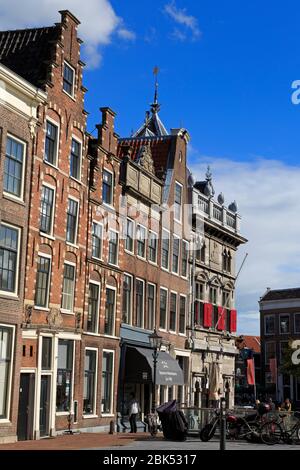 Buildings on Damstraat, Haarlem, Netherlands, Europe Stock Photo - Alamy