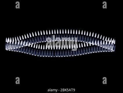 Bullet belt, X-ray Stock Photo - Alamy