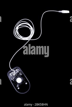 Computer mouse plug Stock Photo - Alamy