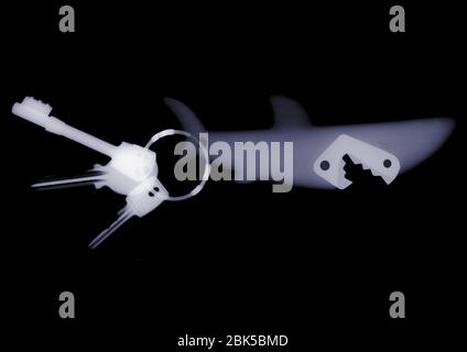Keys on ring Stock Photo - Alamy