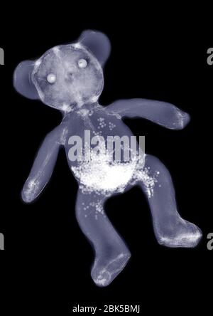 Plush toy teddy bear, X-ray Stock Photo - Alamy