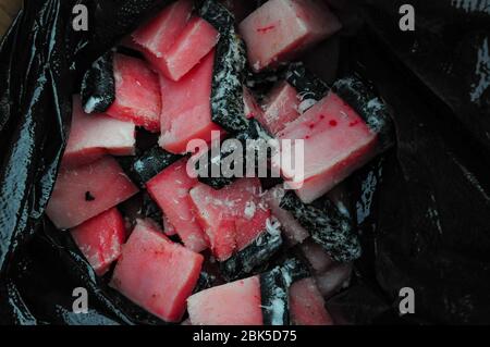Muktuk distribution at Inupiat Nalukataq spring whaling festival ...