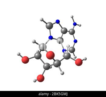 Molecule model of ATP, Adenosine Triphosphate. White is hydrogen, black ...