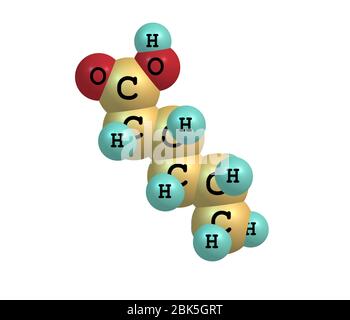 Hexanoic acid is the carboxylic acid derived from hexane with the ...