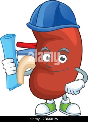 Right human kidney cartoon design concept dressed as Super hero. Vector ...