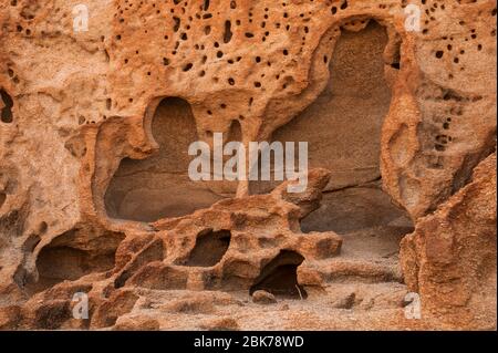 beautiful structures in namib desert rocks and plants Stock Photo - Alamy