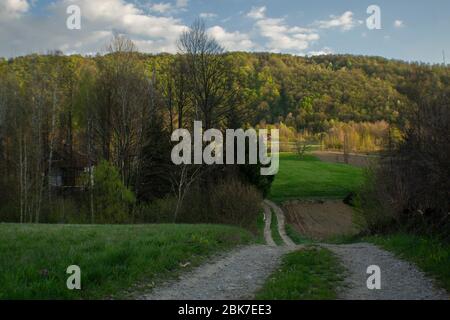 Spring on mountain Beljanica, Serbia Stock Photo - Alamy