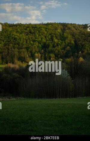 Spring on mountain Beljanica, Serbia Stock Photo - Alamy