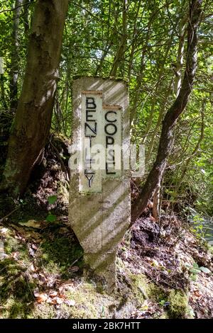 Signs for Bentley Copse Scout Centre, Shere, Surrey Stock Photo - Alamy