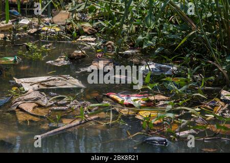 Plastic pollution in the Kelani Ganga River at Colombo in Sri Lanka ...