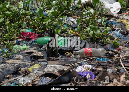 Plastic pollution in the Kelani Ganga River at Colombo in Sri Lanka ...