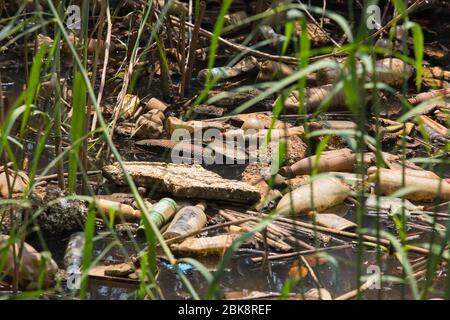 Plastic pollution in the Kelani Ganga River at Colombo in Sri Lanka ...