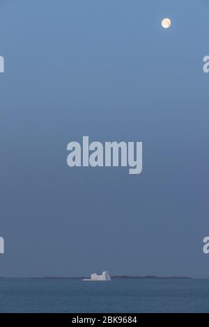 A large white iceberg formation floating in the cold ocean with layers ...