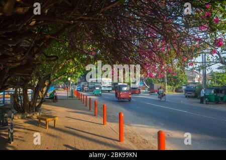 Beautiful road at Negombo in Sri Lanka Stock Photo - Alamy