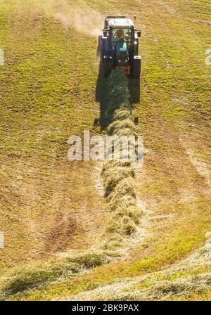Haymaking : A tractor tedding a freshly cut meadow. - South Tyrol ...