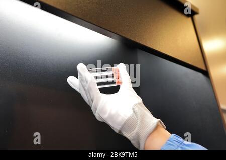 Quality Control vials for injection. Individual checks vial under a ...