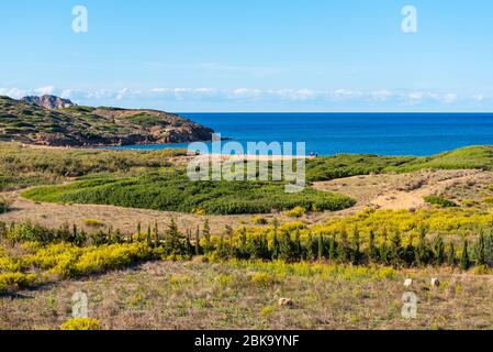 Landscape with view of Binimel-La beach, Menorca, Spain Stock Photo - Alamy