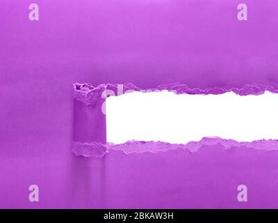 white sheet of paper in purple lupin colors, copy space Stock Photo - Alamy