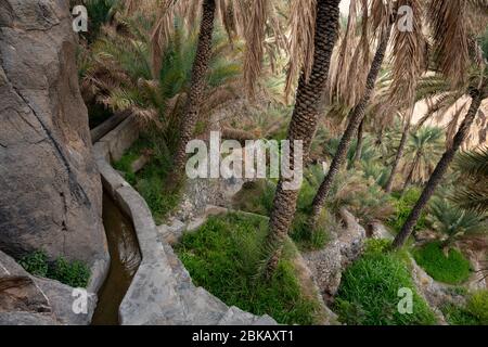 Falaj (irrigation system) in date palm grove, Hatta Heritage Village ...