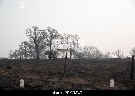 Paradise Fire Aftermath Stock Photo - Alamy