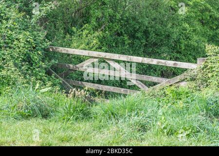 Wooden farm gate with strengthening braces and surrounded by typical ...