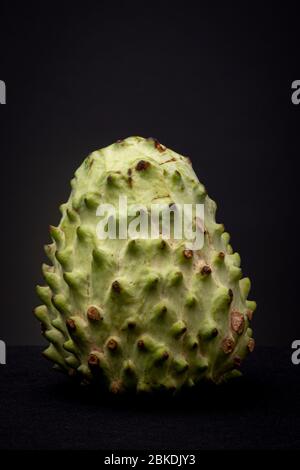 A single green soursop (guanabana) on a textured background. High-angle ...
