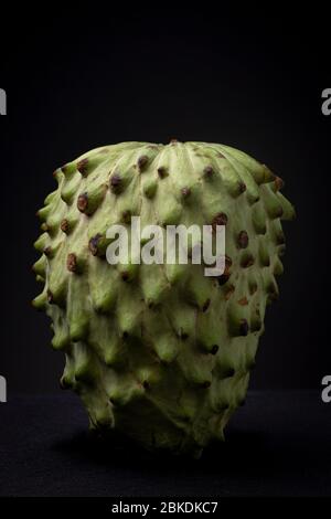 A single green soursop (guanabana) on a textured background. High-angle ...