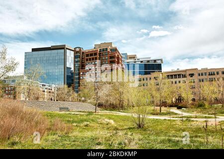 Landscape view of Commons Park with apartments and office buildings in ...