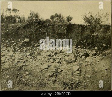 "Home geography for primary grades" (1903 Stock Photo - Alamy