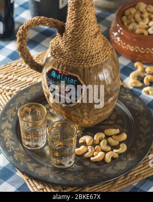 Kaju feni Cashew spirit drink Goa India Stock Photo - Alamy
