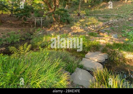 Traditional stone Japanese water feature, Gioji temple gardens, Kyoto ...