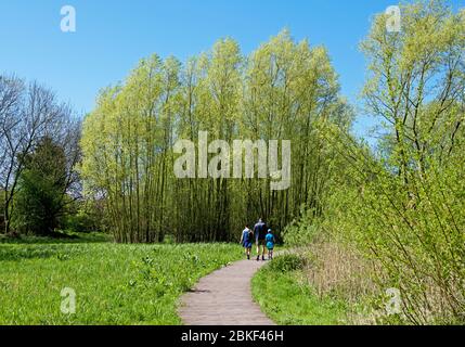 Howden Marsh, a local nature reserve in Howden, East Yorkshire, England ...