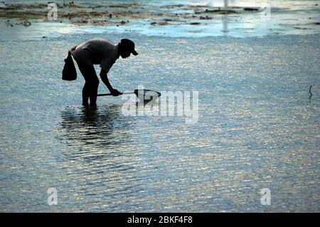 Silhouette of man fishing on a muddy pond near the area of Soekarno ...