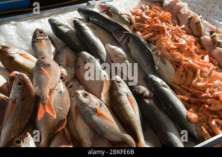 Fresh seafood at Sanary sur Mer fish market, South of France, Credit ...