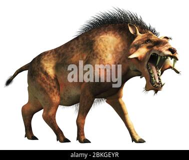 The Entelodon, or hell pig, is an extinct prehistoric pig or boar-like ...