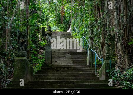 Exotic stairs in banyan trees, this stairs in Ubud, Bali Island ...